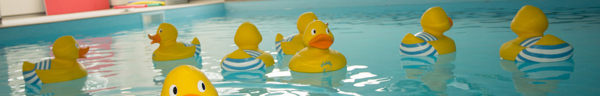 Your My Puddle Ducks Account | Puddle Ducks