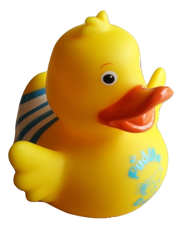 Baby & Child Swimming Lessons | Swimwear | Franchising | Puddle Ducks ...